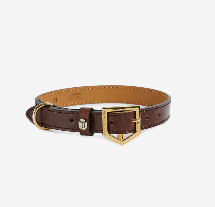The Fitzroy Dog Collar – Partridge and Parr